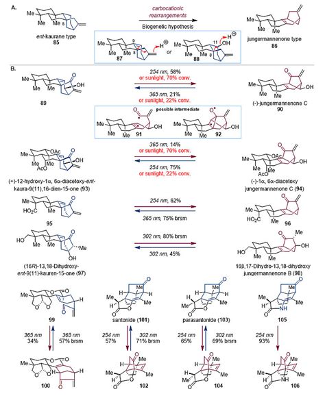 北京大学雷晓光课题组后期多样化衍生策略在天然产物合成与创新药物研发中的应用 X MOL资讯