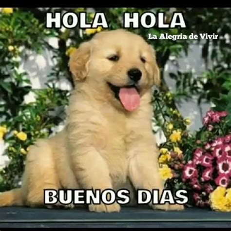 Pin De Maria Elena En Saludos Buenos Dias Perros Perritos Tiernos