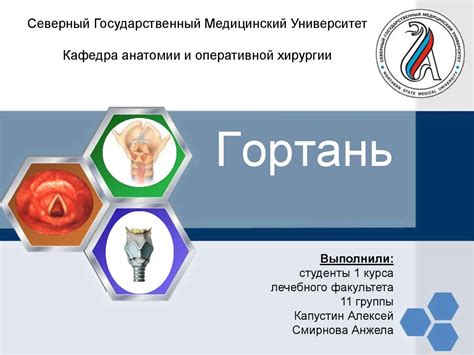 Гортань - online presentation