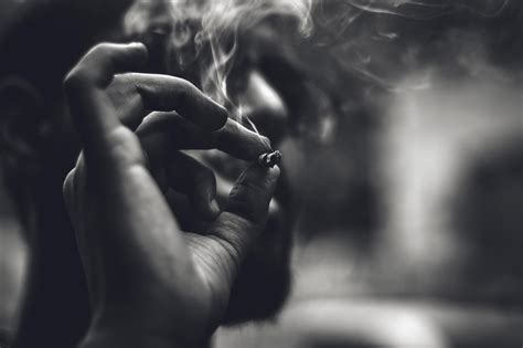 Más De 700 Fotos De Tabaco Y Cigarrillo Gratis Pixabay