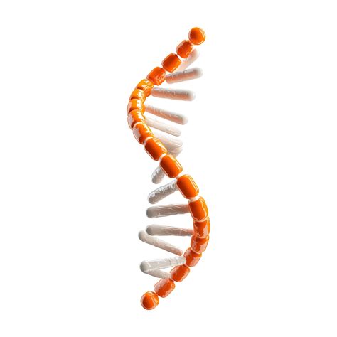 Gene Structure Illustration Science Lab Digital Art 56486417 Png