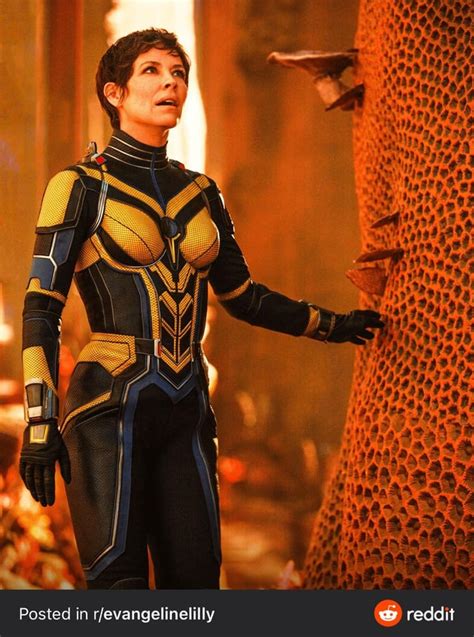 Evangeline Lilly Rjerkofftoceleb