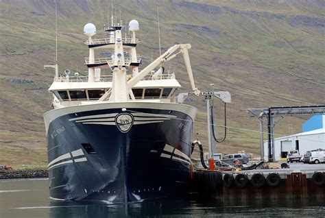 Mokveiddu Síld á Wilson Corner Audlindin