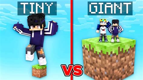 Tiny Vs Giant One Block Battle In Minecraft Minecraft Summary マイクラ動画