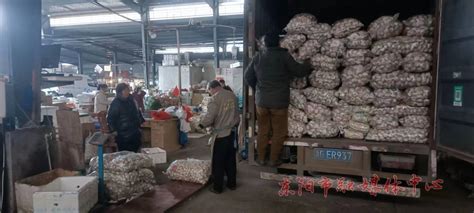 寒潮来袭！我市“菜篮子”供应有保障