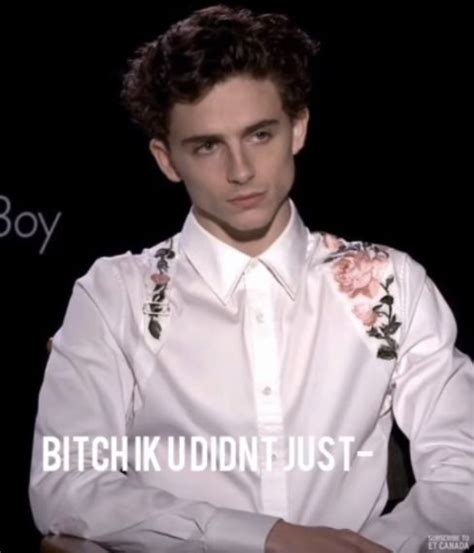 I Did Not Make This Response Memes Reaction Pictures Timothee Chalamet