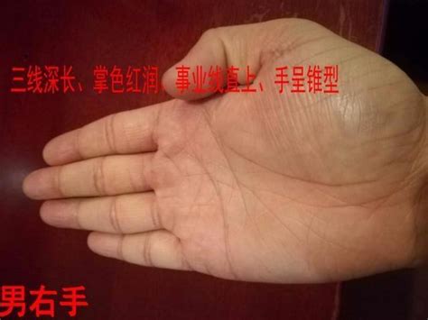 手相乾宫出现一条线与玉柱纹合并注定事业有成公门之人
