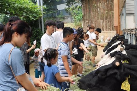 김포특수교육 학생 여름방학 캠프 ‘늘해랑학교 ‘몸과 마음이 자라요