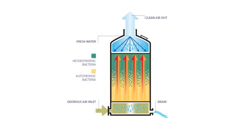 How Do Biotrickling Filters And Bioscrubbers Differ Bioair