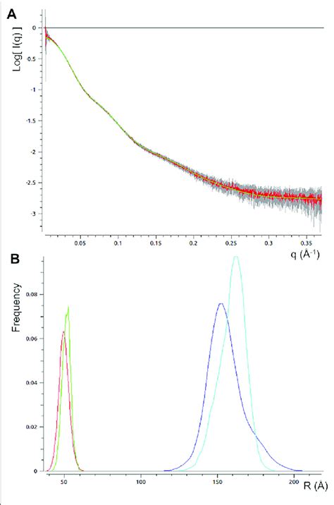 Results Of The Modelling Procedure Based On The Ensemble Optimization