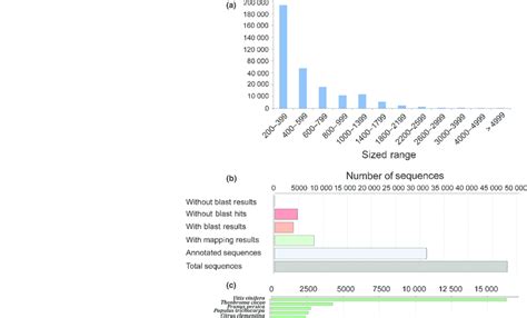 A Transcript Size Distribution Showing High Proportion Of Small Download Scientific Diagram