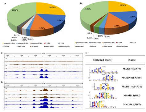 Differentially Accessible Region Dar Distance Annotation And