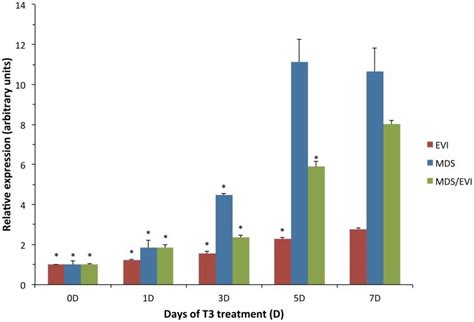 The Expression Of The Transcripts Was Analyzed By Using Download Scientific Diagram