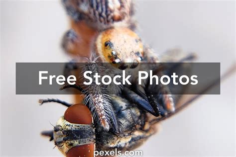 Macro Forecast Photos Download The Best Free Macro Forecast Stock