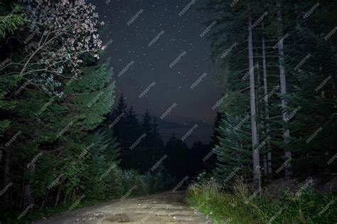 Premium Photo A Road In The Forest At Night Illuminated By Headlights