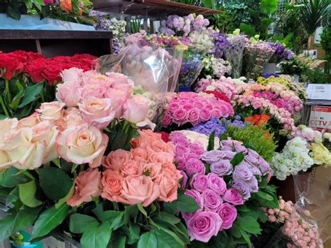 장미 꽃말 노란 빨간 붉은 보라색 자나장미 흰색 하얀 파란 핑크색 검은 주황색 장미 네이버 블로그