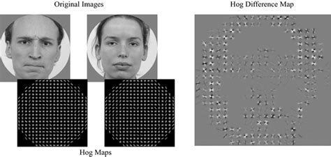 Visualisation Of The Fourier Feature Extraction Showing An Example Of