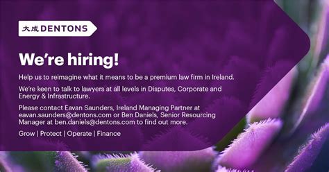 Eavan Saunders On Linkedin As We Build Out Our Team We Are Currently Hiring At All Levels In