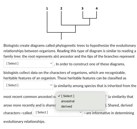 Solved Biologists Create Diagrams Called Phylogenetic Trees Chegg