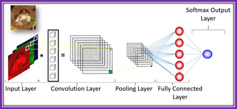 Convolutional Neural Network Medium