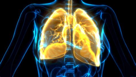 Fibrosi Cistica Perché è Importante Il Test Genetico