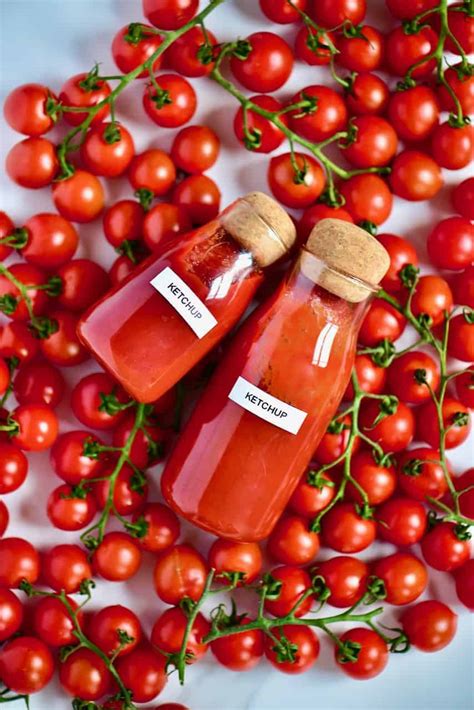 Diy Simple Homemade Ketchup Recipe Alphafoodie