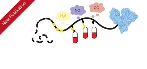 Current Opinion In Colloid And Interface Science Publication Recent