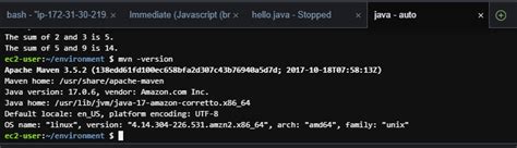 How To Set Up Aws Sdk For Java Using Cloud9 To Run An Application