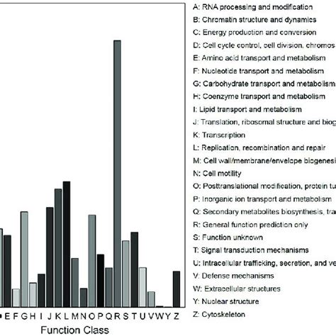 Histogram Presentation Of Clusters Of Orthologous Groups Cog Download Scientific Diagram