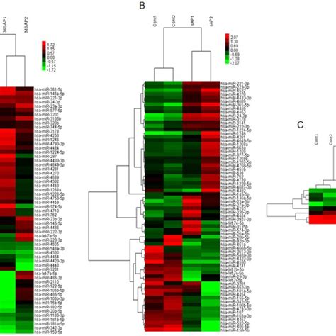 Microarray Analysis Of The Serum Mirna Expression Profile Of Control