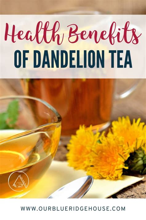 Benefits Of Dandelion Tea Daily Remoeq