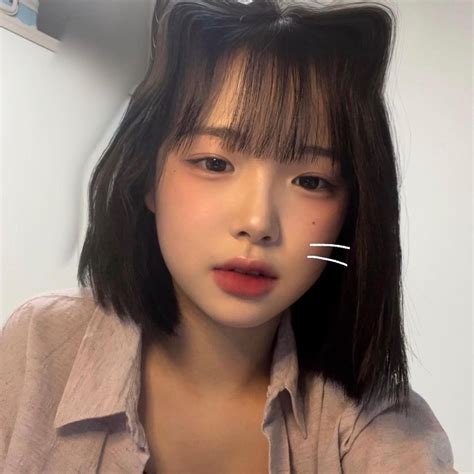 🐰 야옹 냥냥 한사랑 • • • 한사랑 팬스타그램 한사랑산악회 네코네코냥냥 고먐미 한사랑그램 Instagram