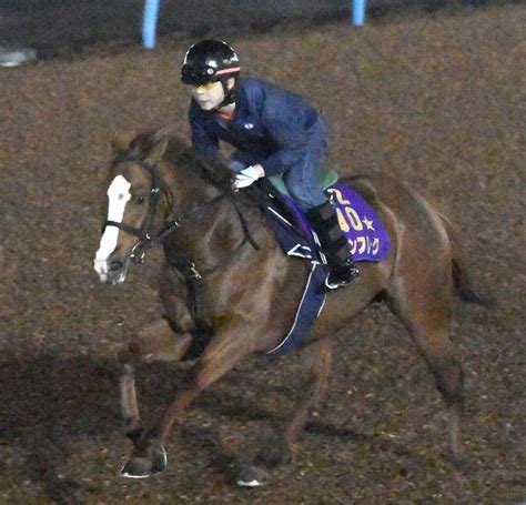 【香港スプリント】ナランフレグ 状態は現状維持 宗像師「いい感じですね」競馬・レースデイリースポーツ Online