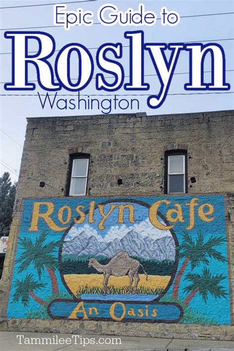 Epic Guide To Roslyn Washington Video Tammilee Tips