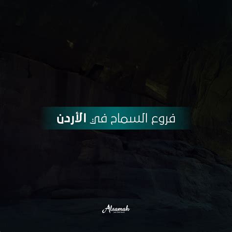 ‎السماح للألبسه القطنية‎ ‎شفتوا التشكيلة الجديدة من جوارب الfunky من