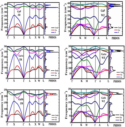 Phonon Dispersion Curves Along With The Phonon Density Of States
