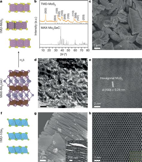 Structural Characterization Of 2d Transition Metal Chalcogenides
