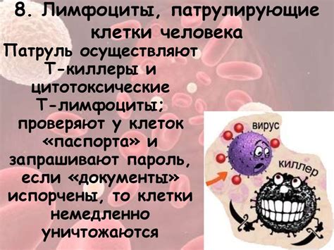 Защита от вирусов презентация онлайн