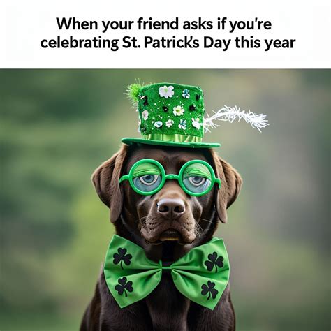 David Chokachi As Most Interesting Man St Patricks Day Meme Playground
