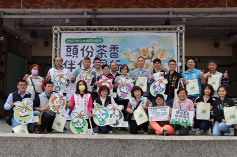 桐花小旅行結合製茶體驗 頭份桐花活動起跑