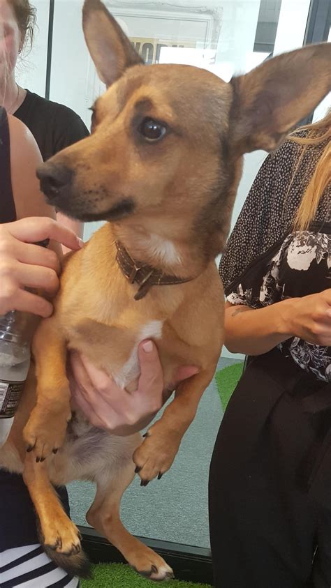 Meet Our Office Favouritecharlie Misba Mirza