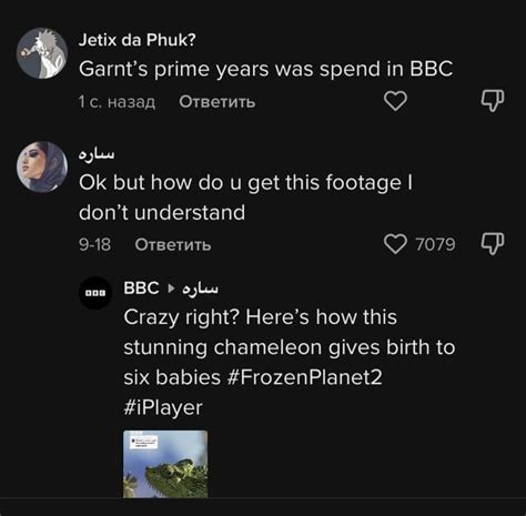 Since I Subscribed On Trash Taste Tiktok I Often Getting Something From