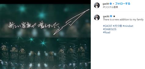 愛犬の悲劇再び？ Gacktさん「新しい家族が増えました」 2年前の里親騒動の衝撃に震える人たち Nnjニュース