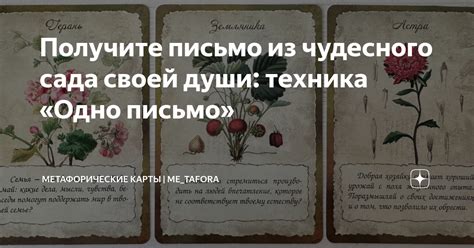 Получите письмо из чудесного сада своей души: техника «Одно письмо ...