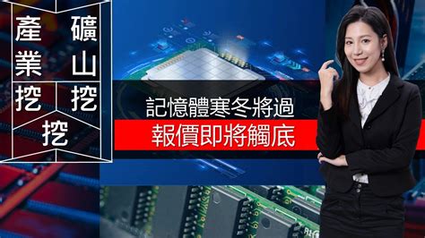 20230118 記憶體寒冬將過，報價即將觸底周宛瑩 Youtube