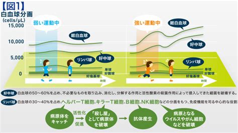 通勤サイクリングで強い身体に ｜joy Ride