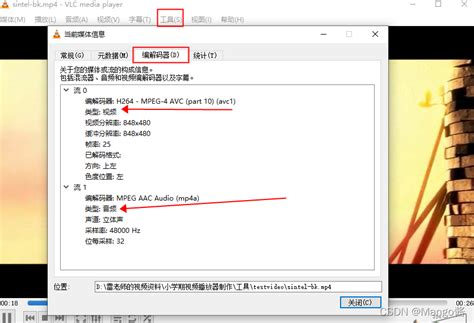 07 给音视频文件添加字幕流ffmpeg Ass字幕流从哪里来 Csdn博客
