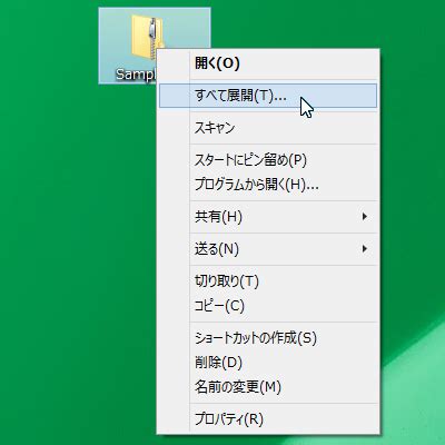 Zip Windows