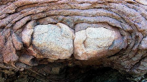 Mudfossil Biology Part 3 Youtube