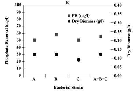 Phosphate Removal Versus Growth Of Bacteria In Mineral Salts Medium